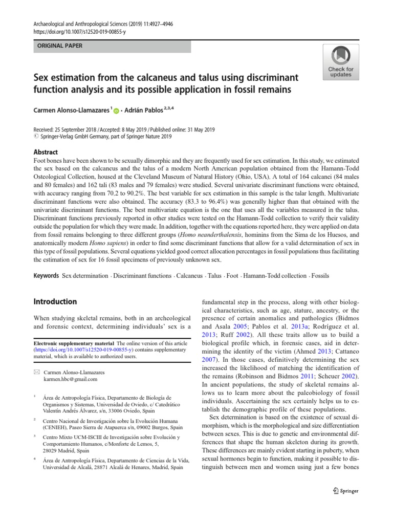 Sex Estimation From The Calcaneus And Talus 2019 Pdf Homo