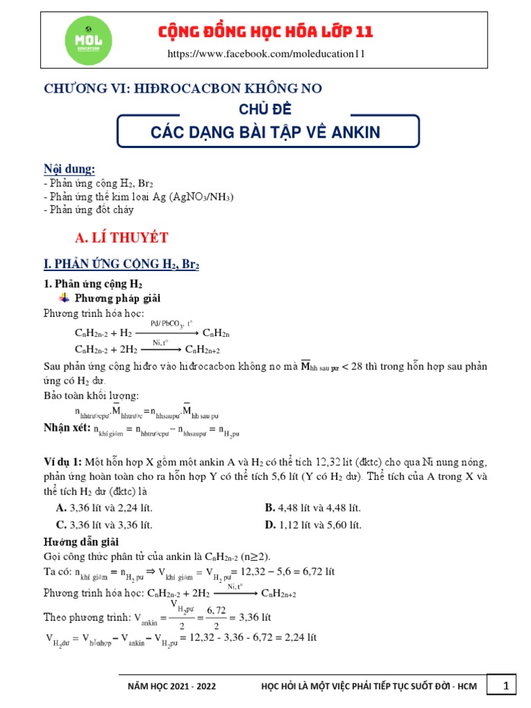 Tuan 4 - Cac Dang Bai Tap Ve Ankin | PDF