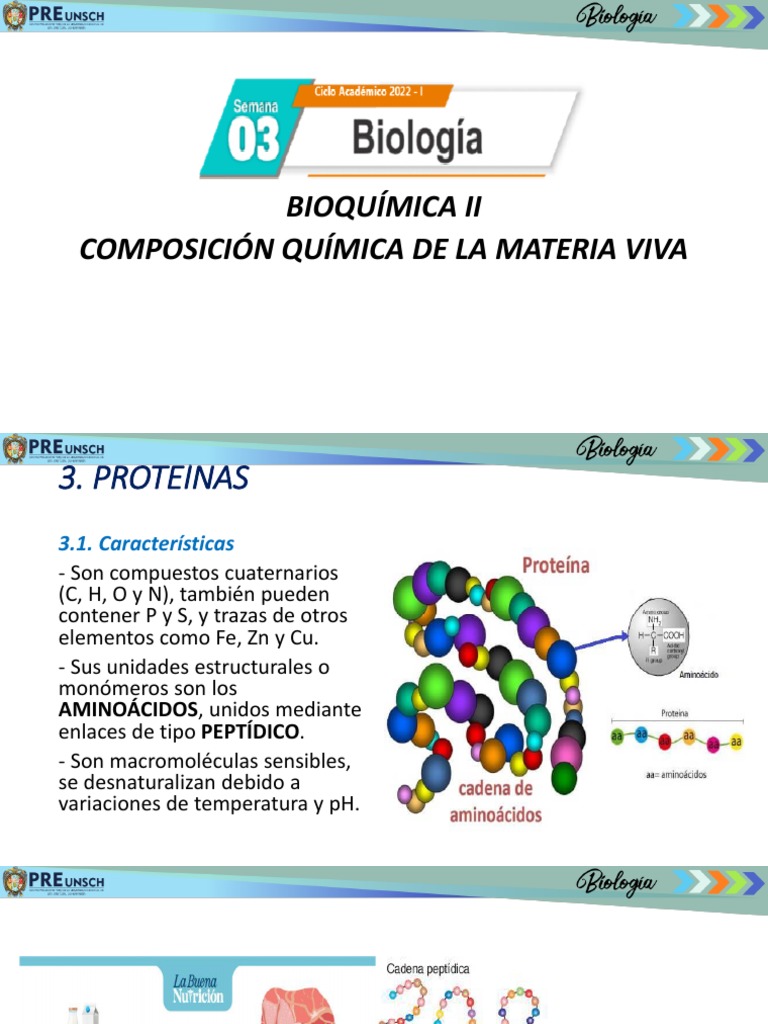 Bioquímica Ii | PDF | Rna | Nucleótidos