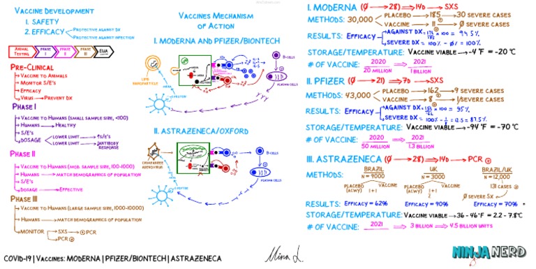 Vaccines - MODERNA - PFIZER-BIONTECH - ASTRAZENECA - Key Atf | PDF