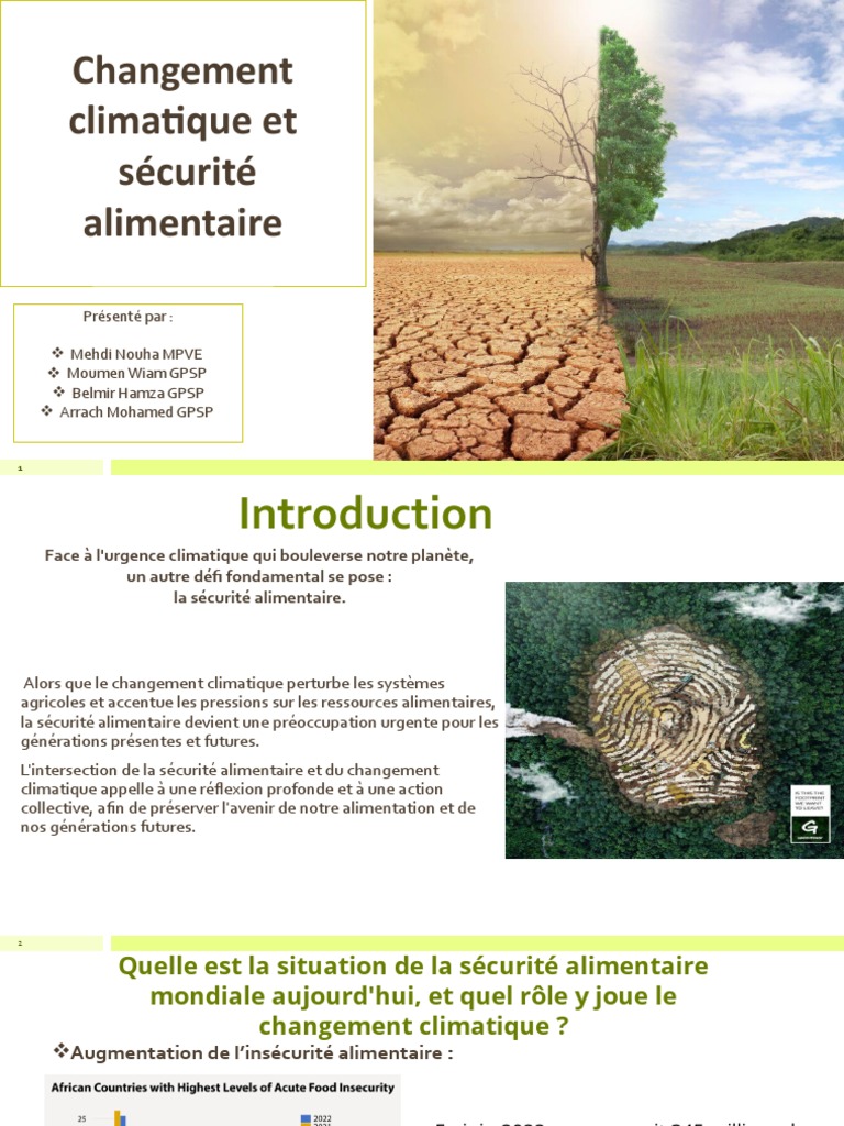 Changement Climatique Et Securite Alimentaire | PDF | Changement climatique | Sécurité alimentaire