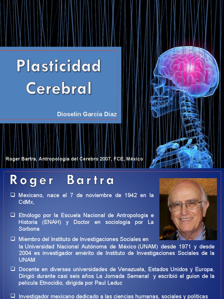 Plasticidad Cerebral | PDF | Sinapsis | Neuroplasticidad