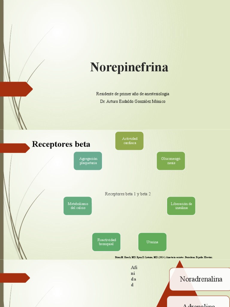 Norepi Sola | PDF | Norepinefrina | Neuroquímica