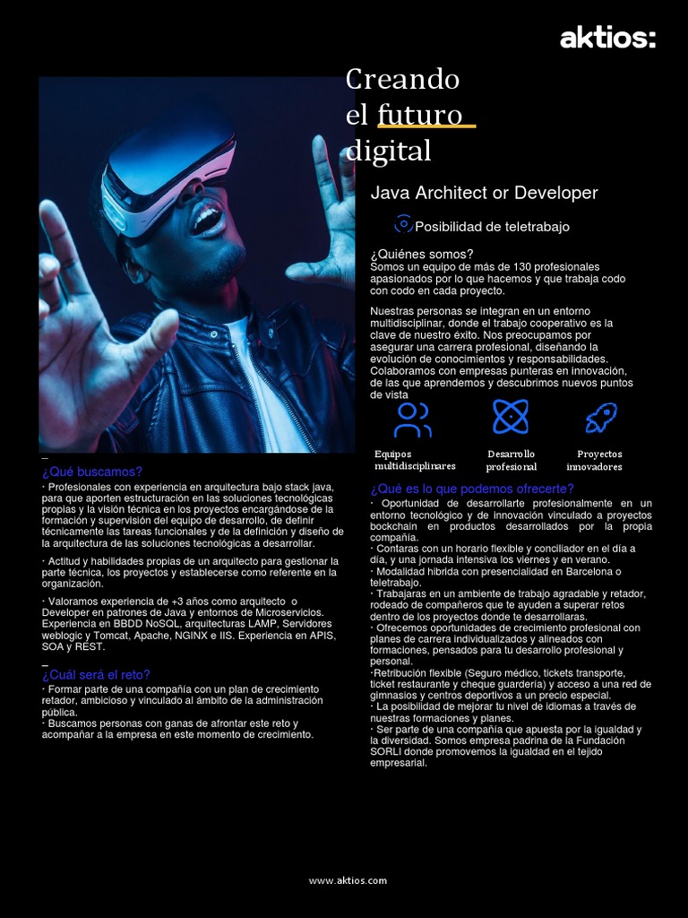 Java Architect Developer Senior Descargar Gratis Pdf Business