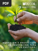 Ficha Tecnica Nitro Xtend XP K S | PDF | Fertilizante | Nutrientes