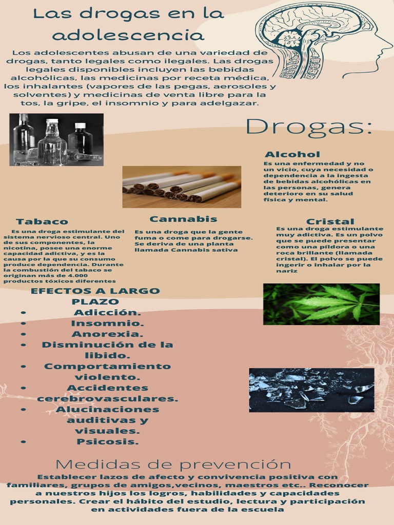 Las Drogas En La Adolescencia Pdf