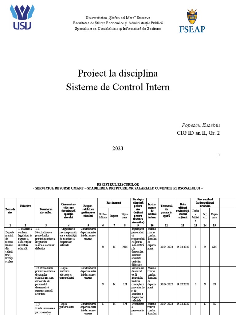 Proiect Sisteme de Control Intern | PDF