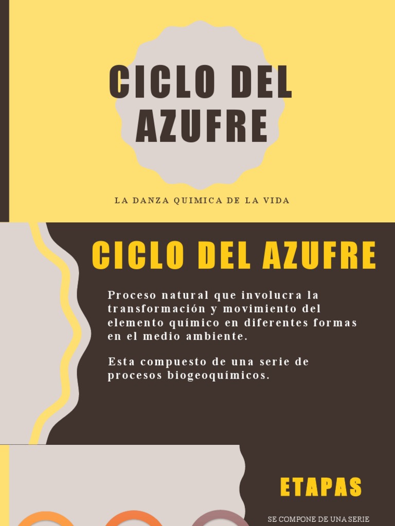 Ciclo Del Azufre | PDF