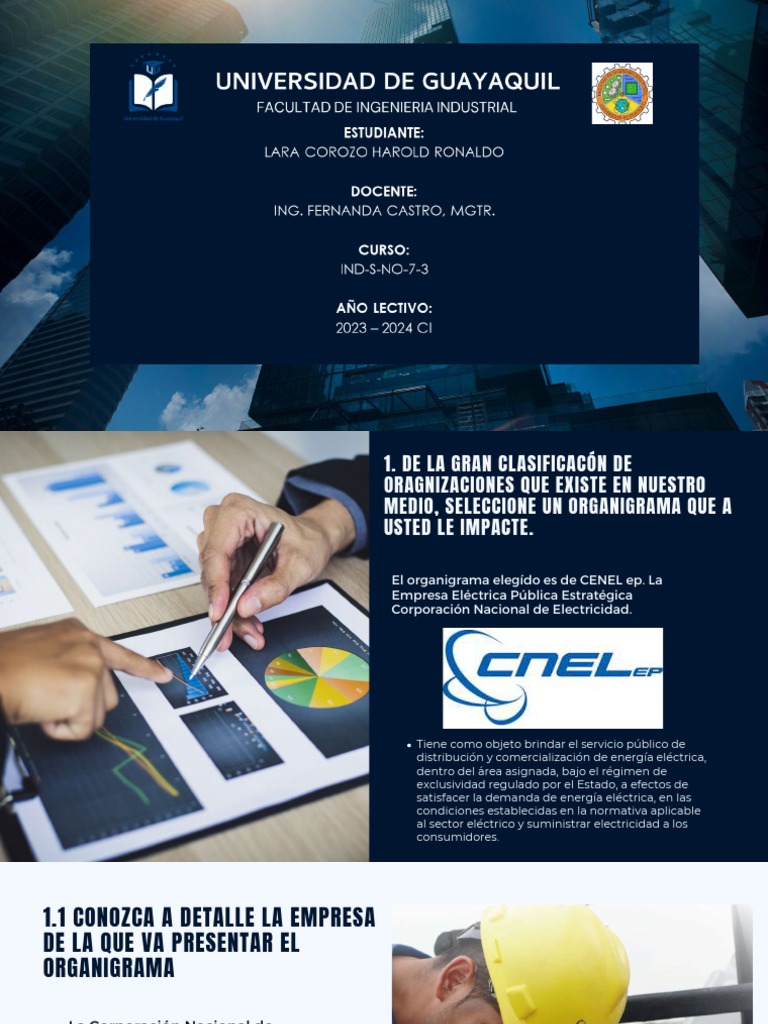 Tarea 6 - Organigrama | PDF | Business