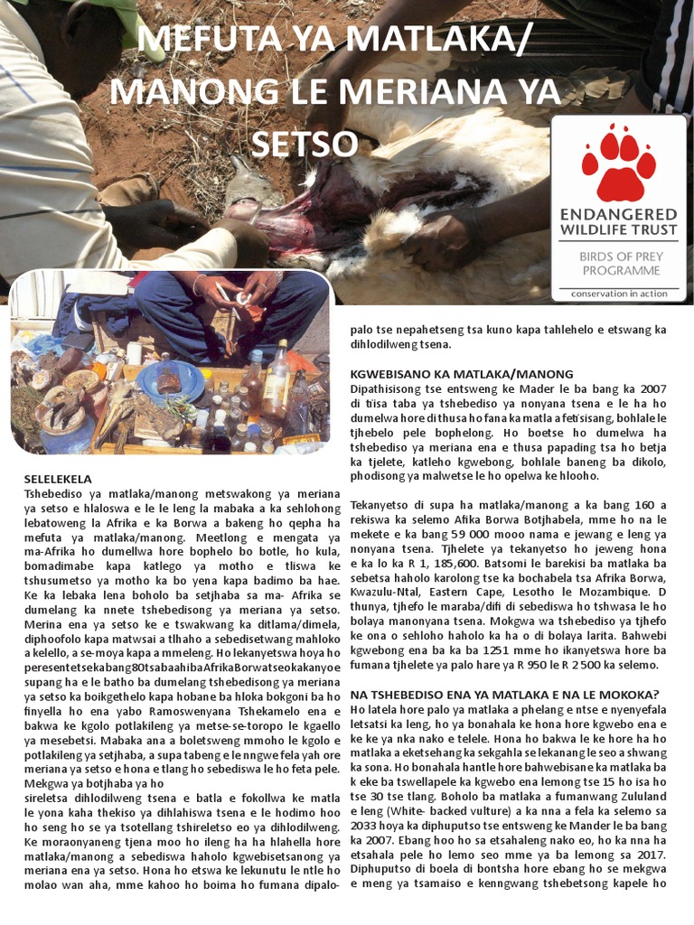 Traditional Medicine Sesotho | PDF