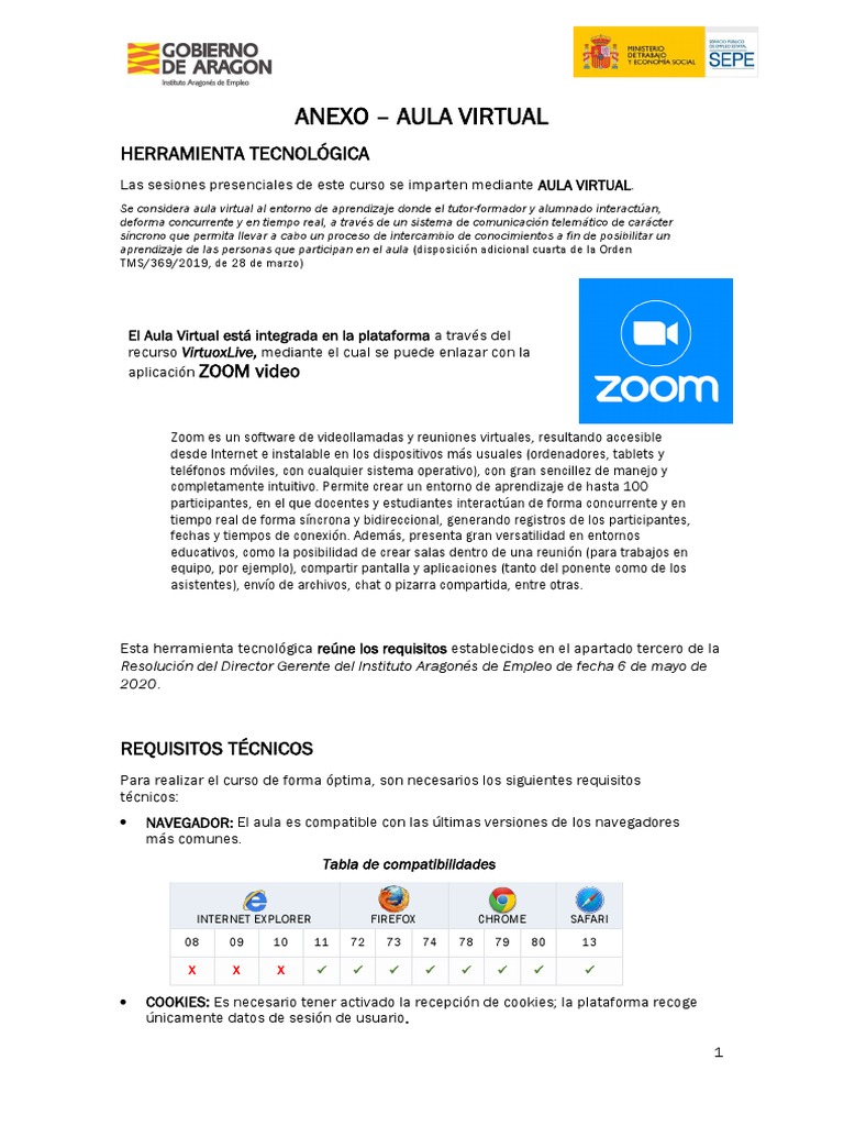 Anexo Aula Virtual | PDF