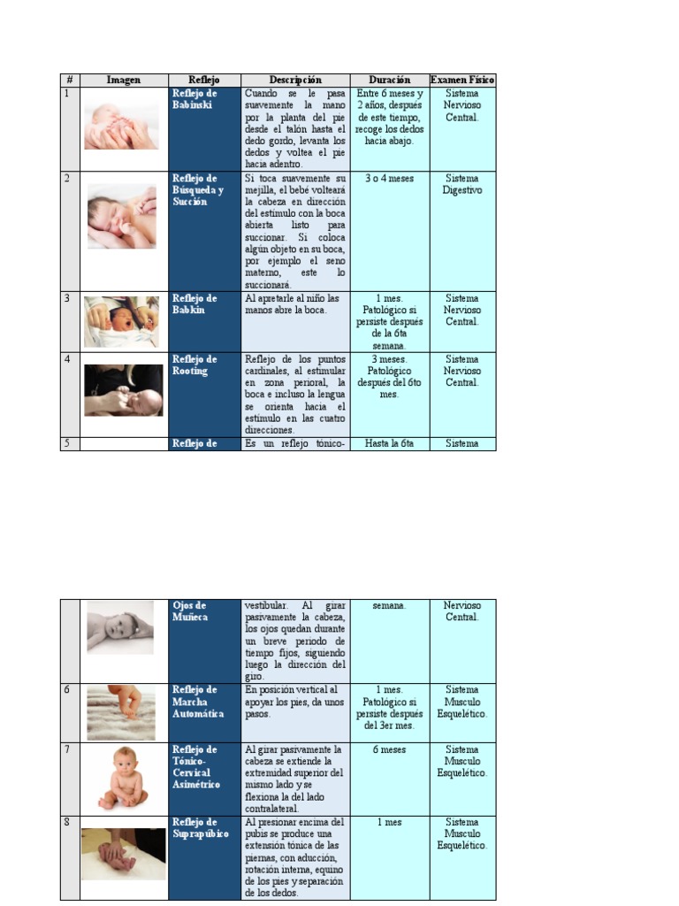 Reflejos Neonatales: Tabla Completa | PDF | Hombro | Anatomía