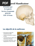 Anatomie du Labyrinthe Ethmoïdal | PDF | Système squelettique | Tête et ...