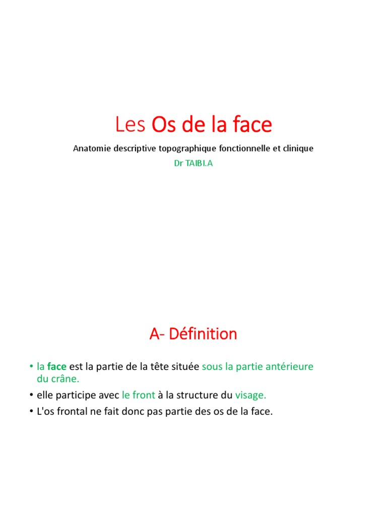 Anatomie des os de la face humaine | PDF | Anatomie humaine | Système ...