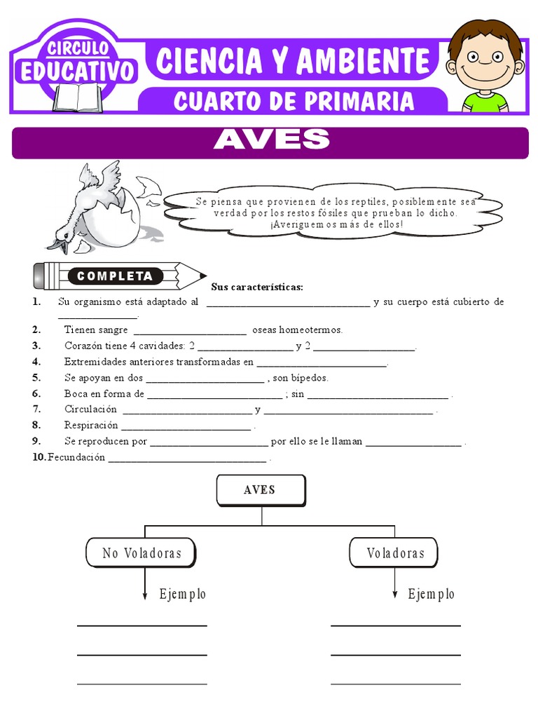 Aves para Cuarto de Primaria | PDF