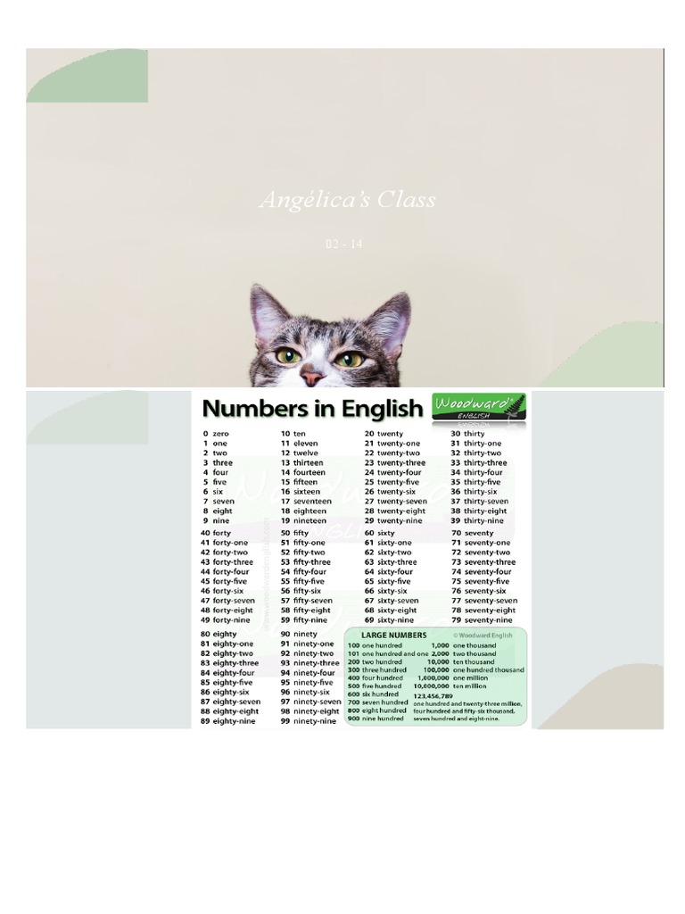 English Class About Numbers | PDF