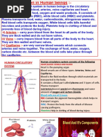 Human vs Fish Circulatory Systems | PDF | Circulatory System | Heart