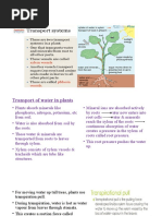 Grade 8 - Photosynthesis and Respiration (Notes) | PDF | Photosynthesis ...