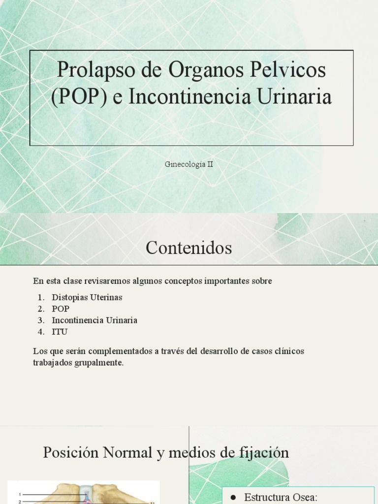 POP-IUF e ITU | PDF | Vejiga urinaria | Morfología (biología)
