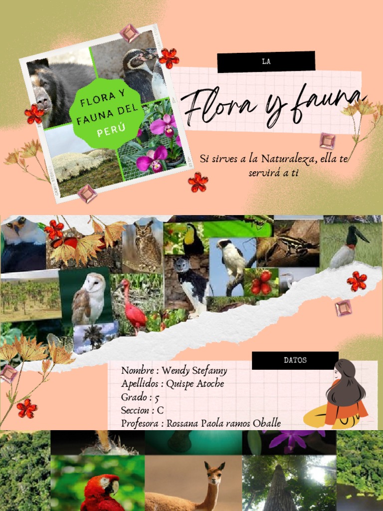 Flora y Fauna | PDF | Naturaleza | Organismos