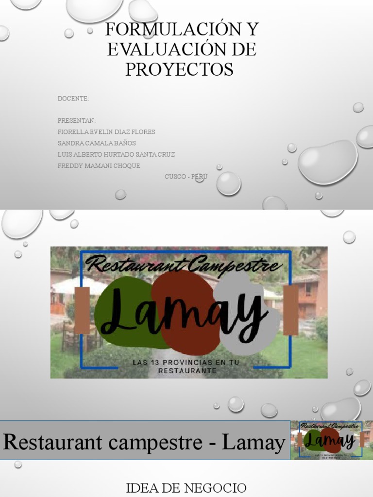 Formulación Y Evaluación De Proyectos Pdf Turismo Economias 1008