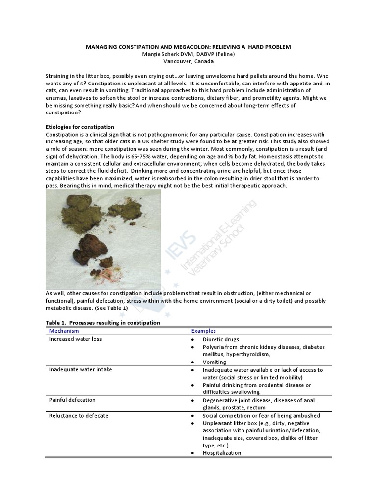 Handout 6. Esavs Constipation & Megacolon 2021 | PDF | Dietary Fiber ...