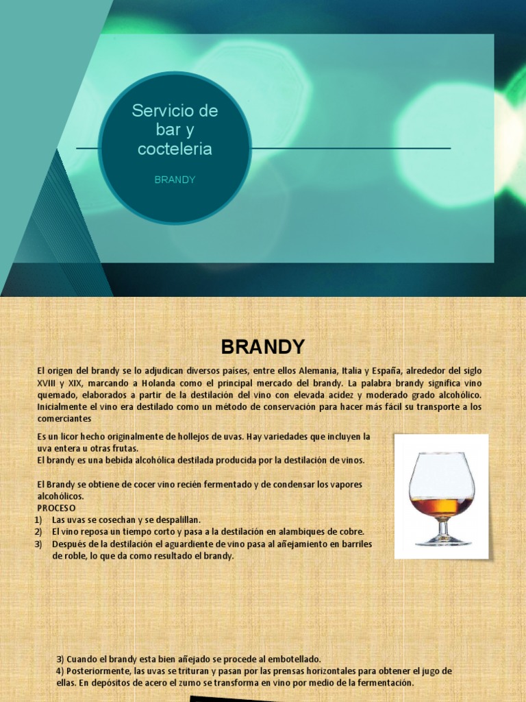 Guía Completa del Brandy | PDF