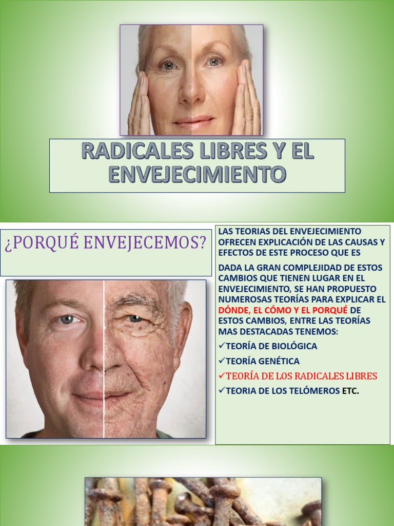 Radicales Libres | PDF | Envejecimiento | Antioxidante