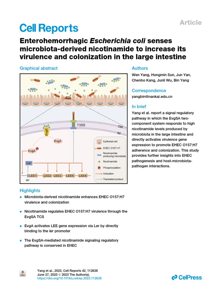 PIIS2211124723006496 | PDF | Escherichia Coli | Gene Expression