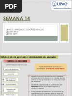 Músculos de La Espalda | PDF | La columna vertebral | Vértebra