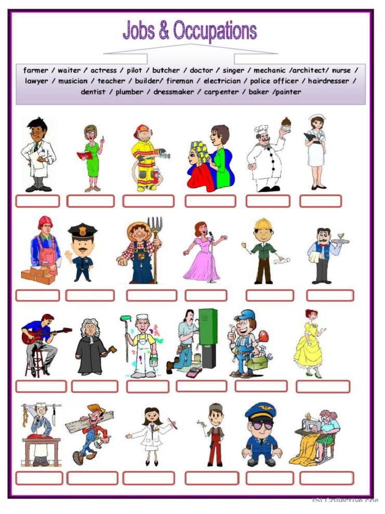 Jobs and Occupations Worksheet | PDF