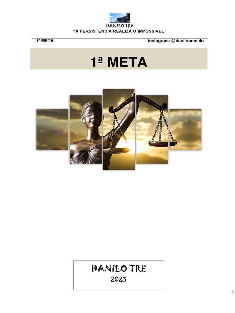 Meta 1 | PDF