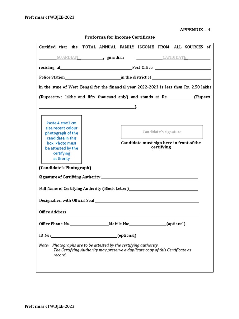 Proforma income | PDF