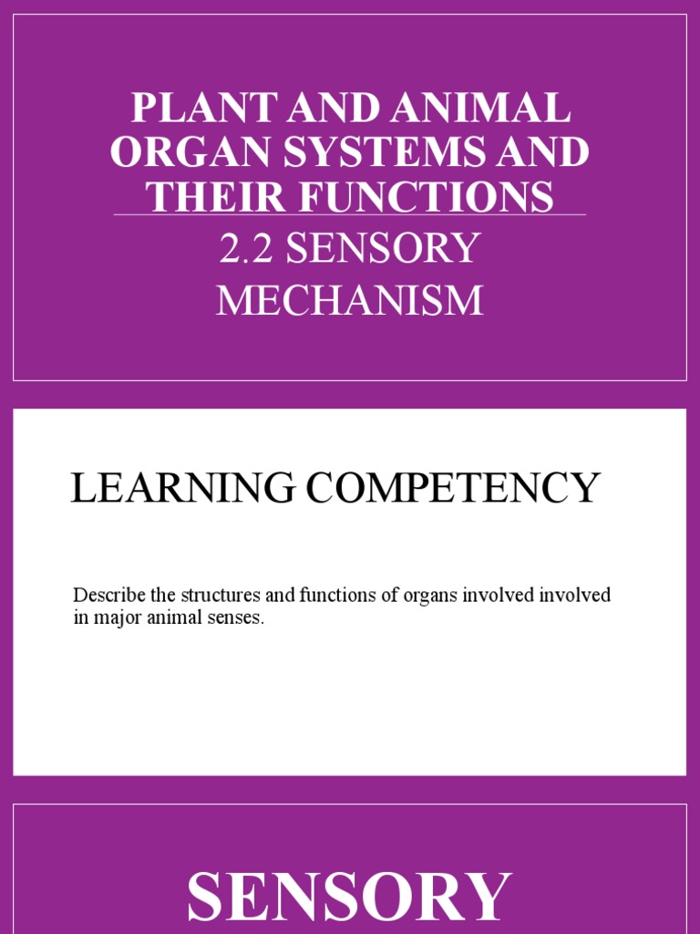 2 2 Sensory Organs | PDF | Stimulus (Physiology) | Ear