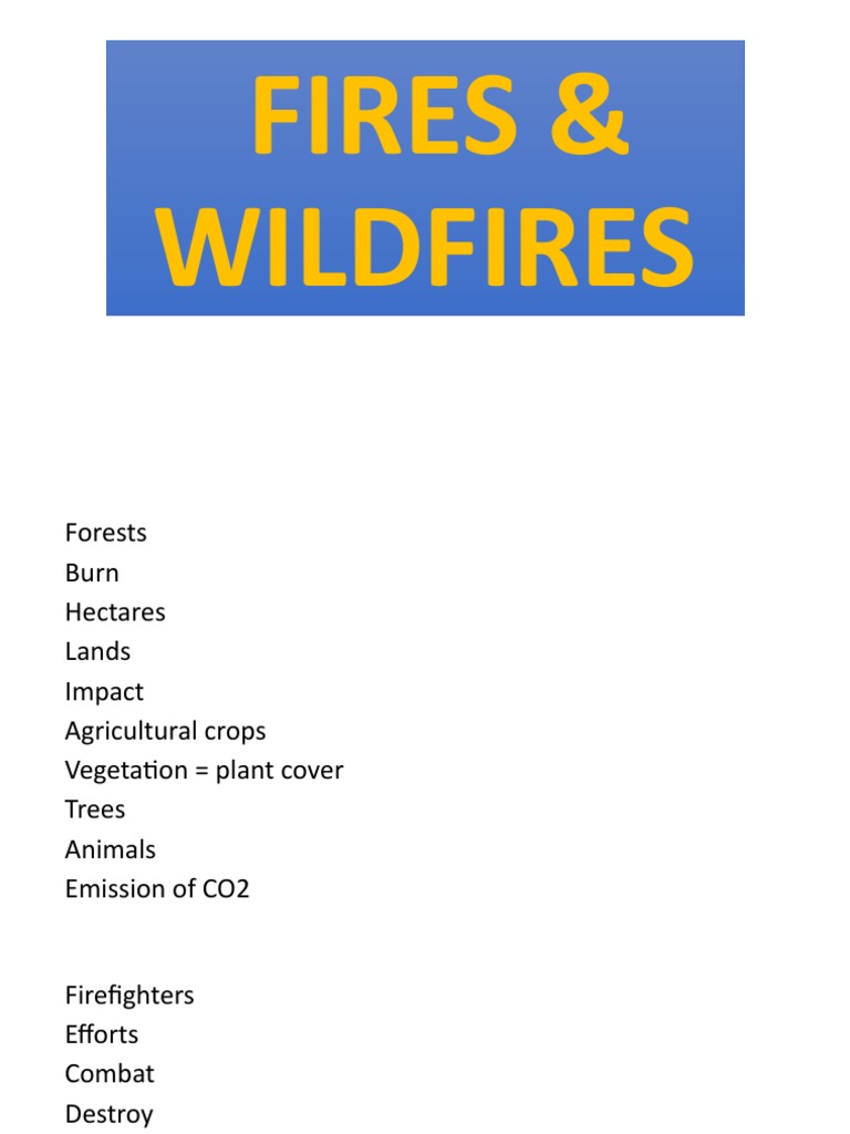Fires & Wildfires | PDF