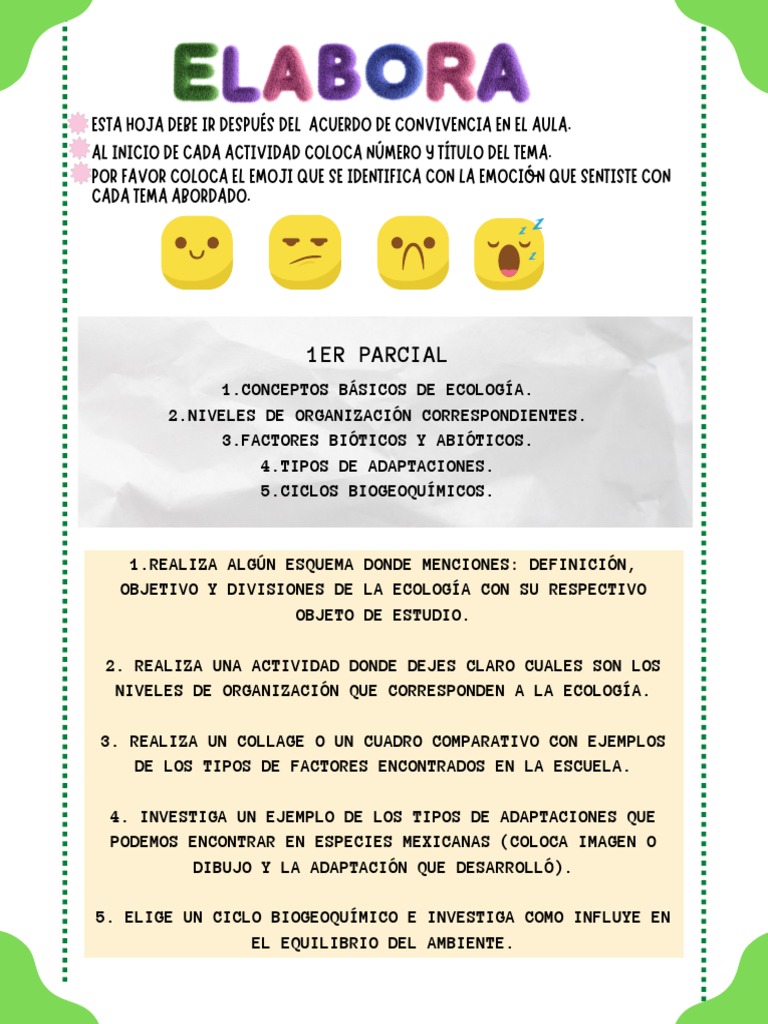 Pink Self-Reflection PMI Feedback Worksheet | PDF