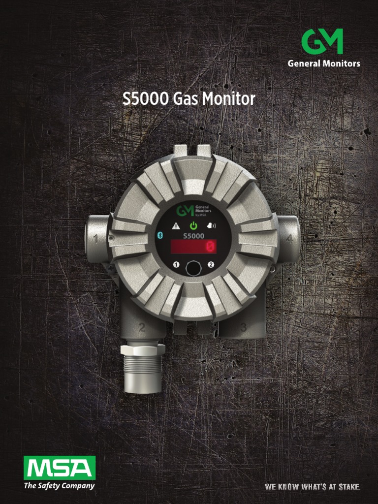 S5000 Gas Monitor | PDF | Oxide | Sensor