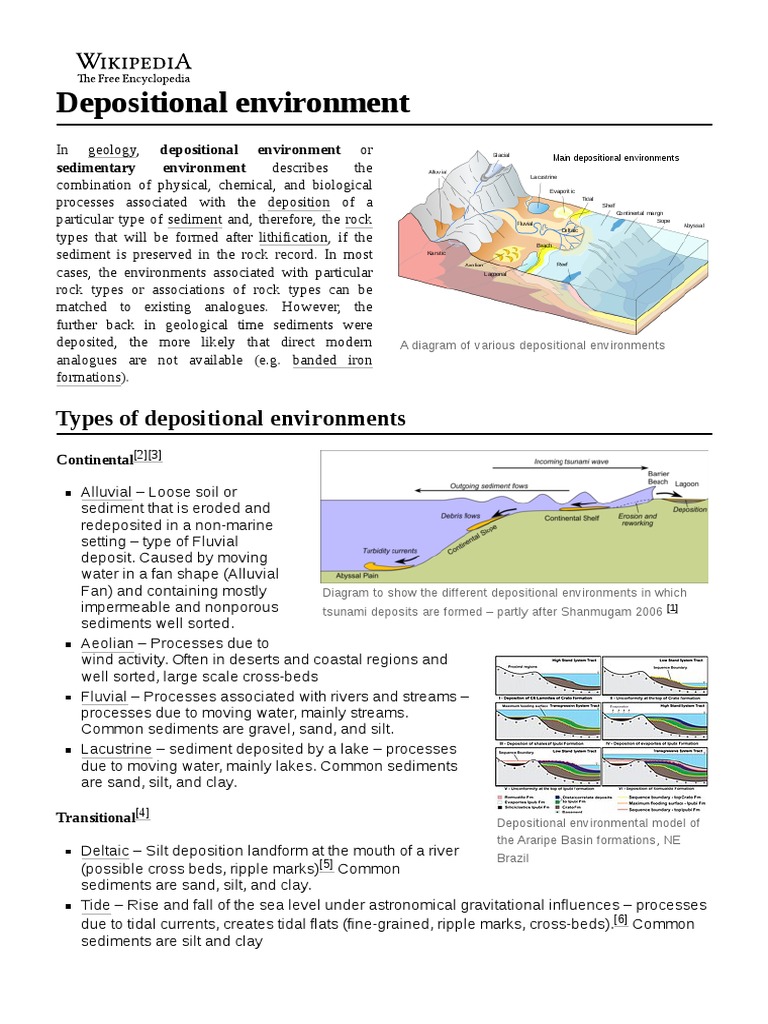 Geology: Depositional Environments | PDF | Sediment | Sedimentary Rock