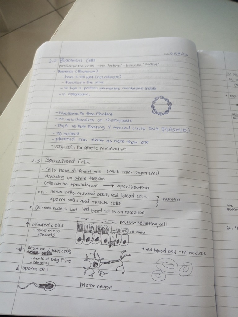 Biology Cells Notes Part 1 | PDF