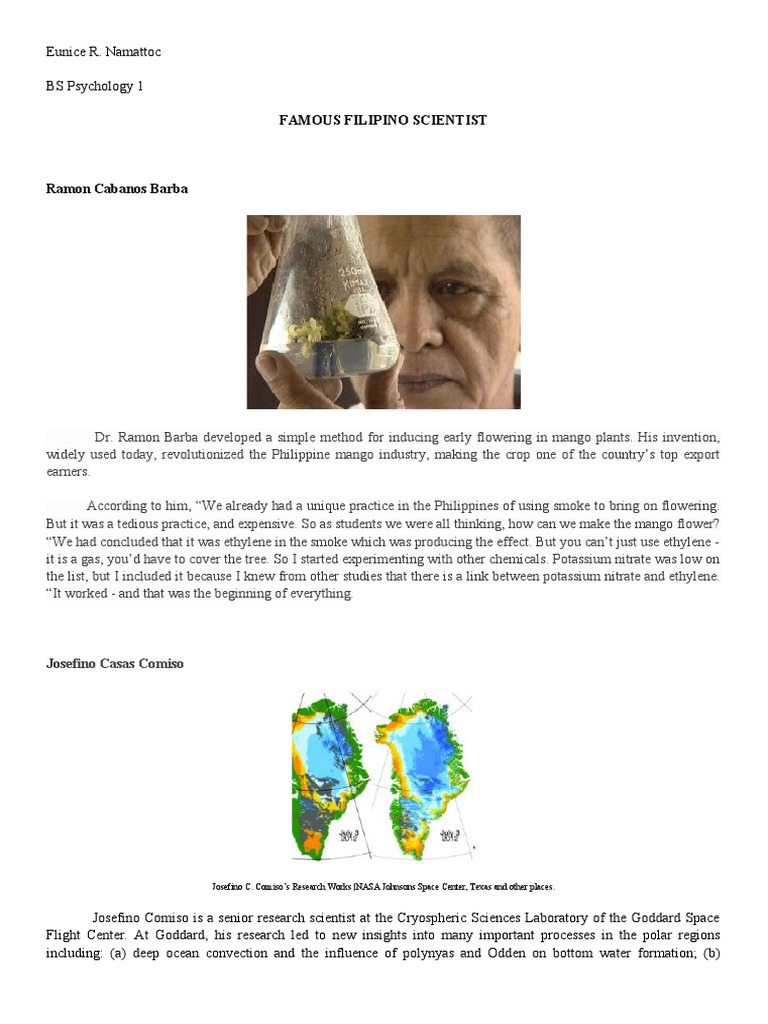 Filipino Inventors | PDF | Social Science