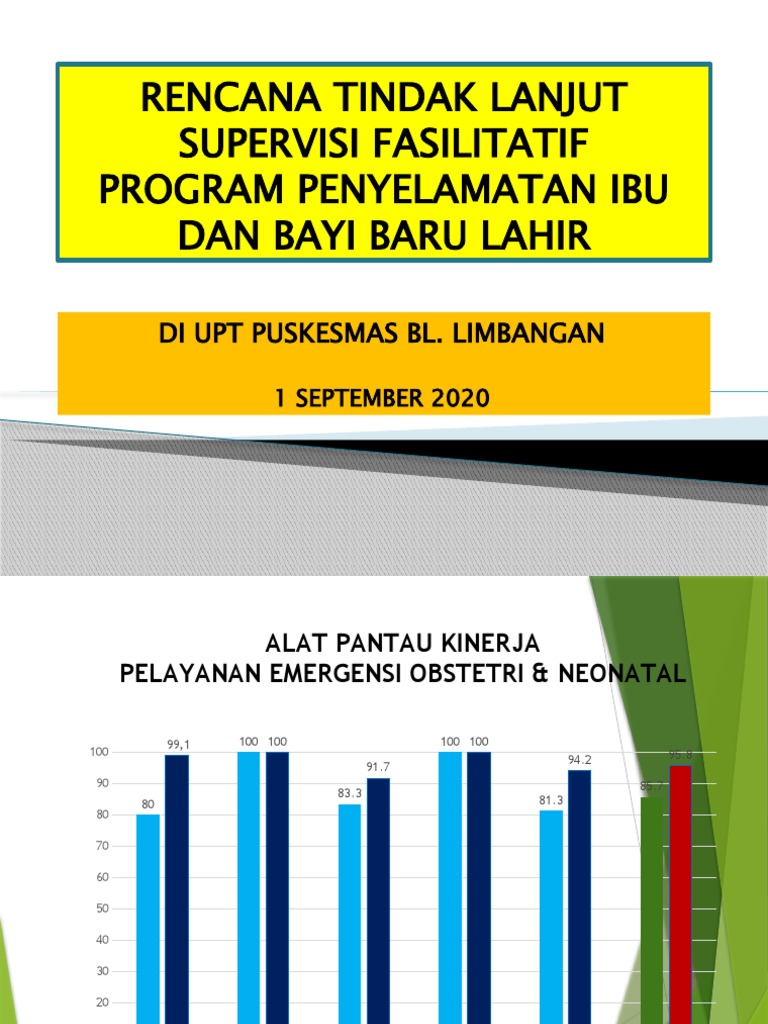 RTL Supervisi Fasilitatif Program Pendampingan EMAS 2020 | PDF