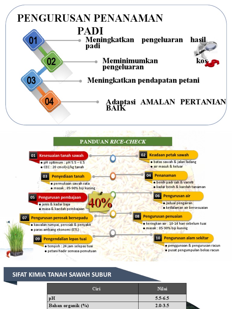 Pengurusan Tanaman Padi | PDF