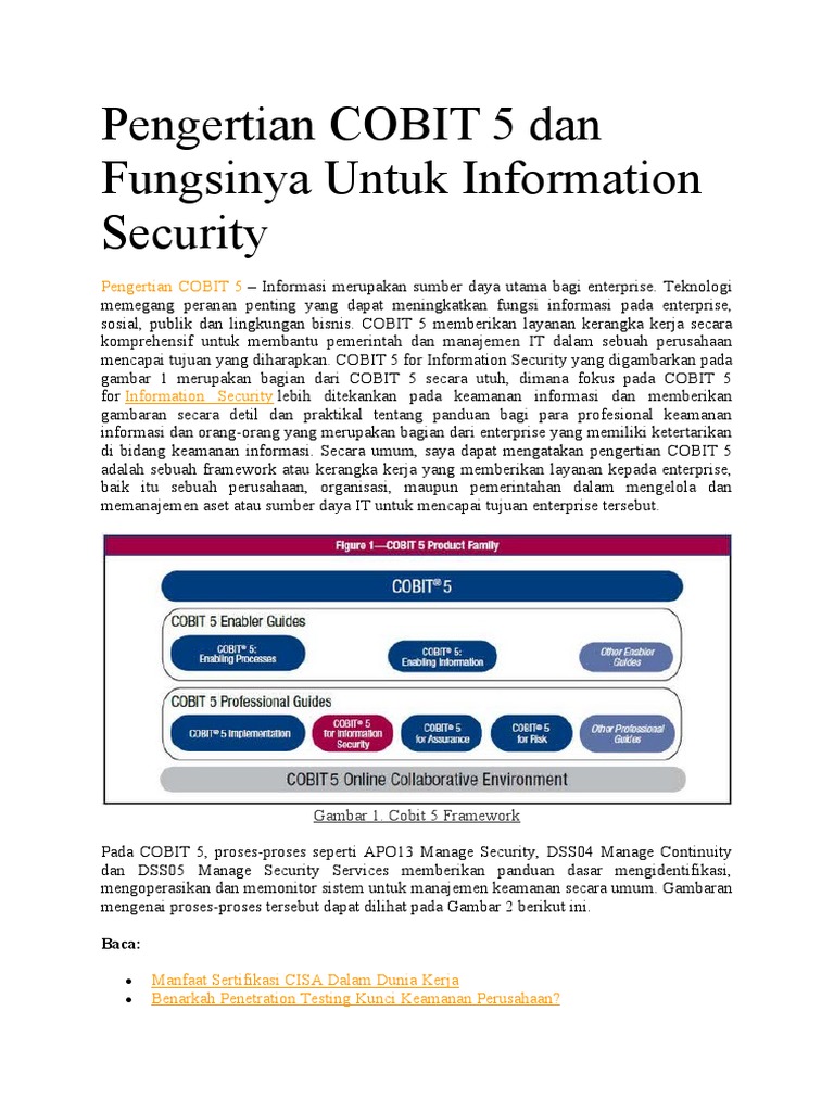 Pengertian dan Fungsi COBIT 5 Security | PDF | Komputer
