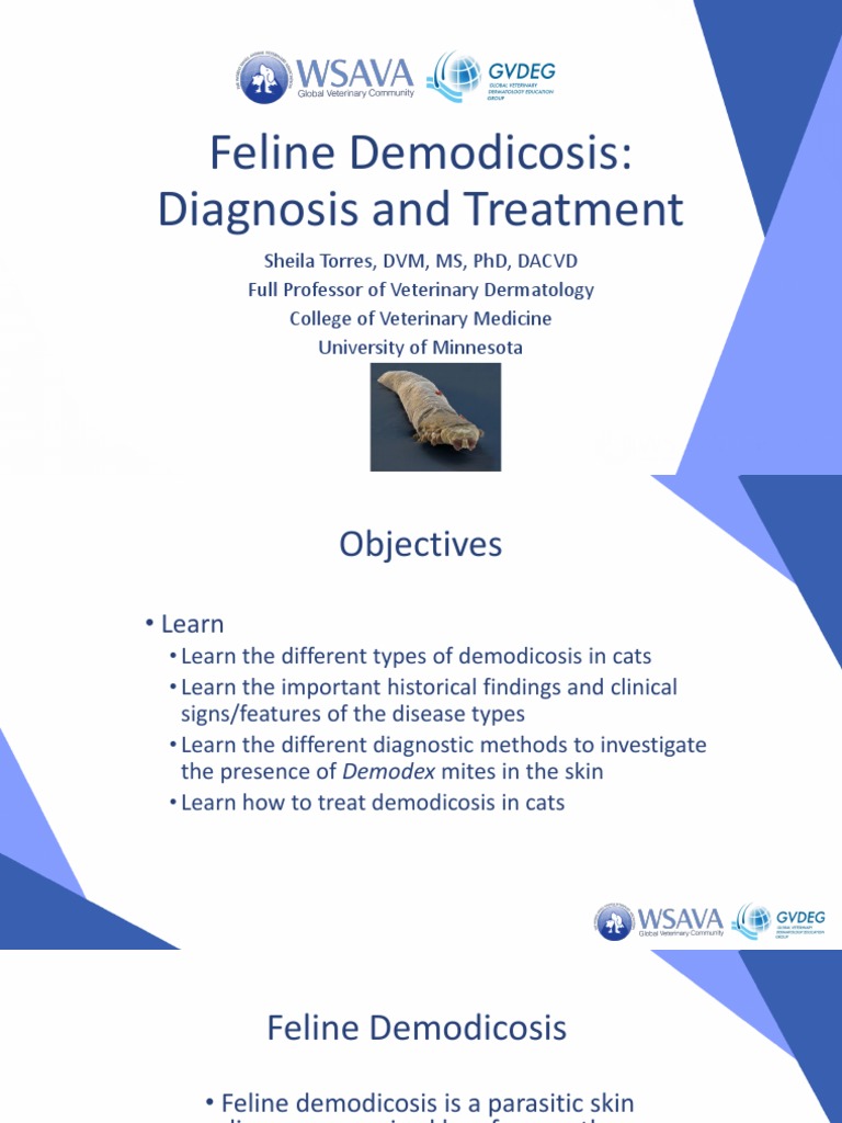 Felinedemodicosis SheilaTorres 211127 144026 | PDF | Epidemiology ...