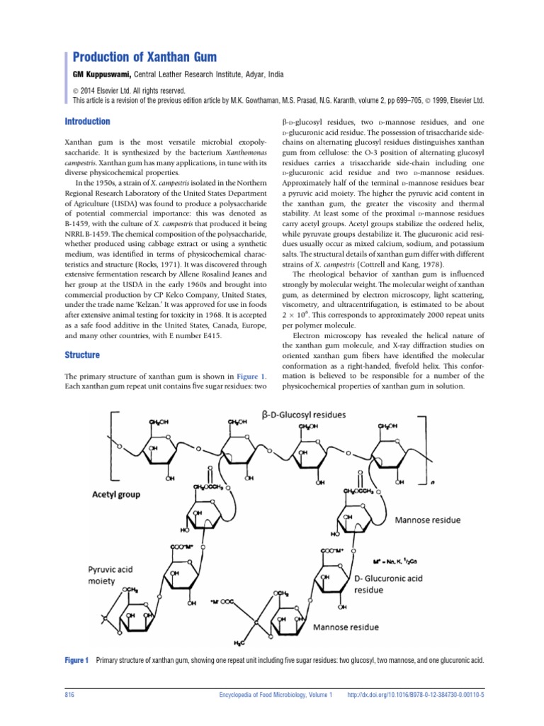 Xanthan Gum: Structure & Applications | PDF
