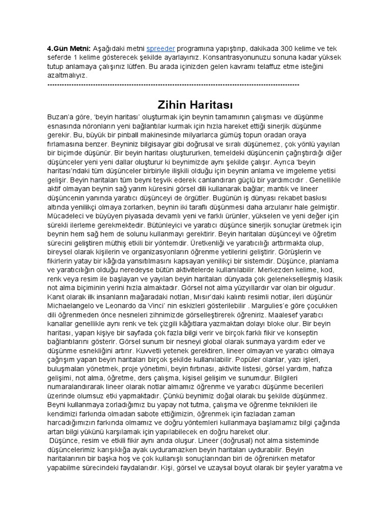 4.g - N - Zihin Haritas | PDF