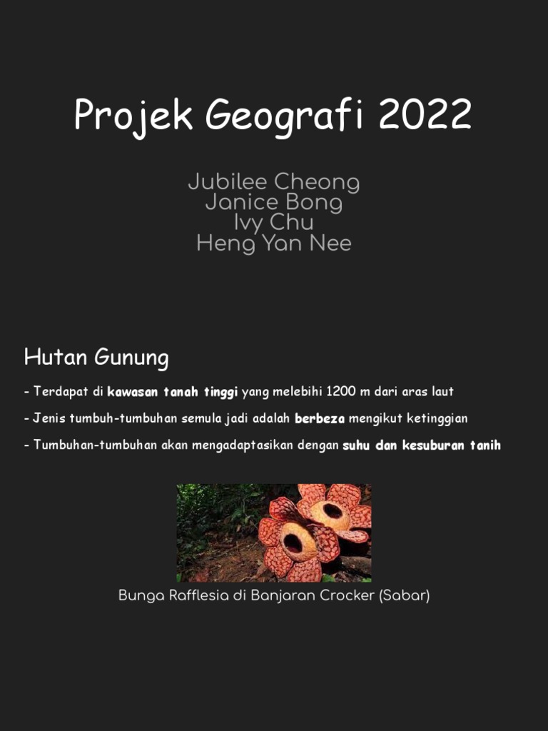 Geography Project | PDF