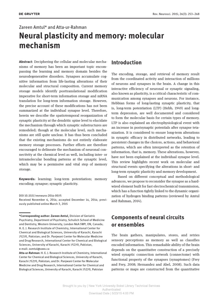 Synaptic Plasticity & Memory Mechanisms | PDF