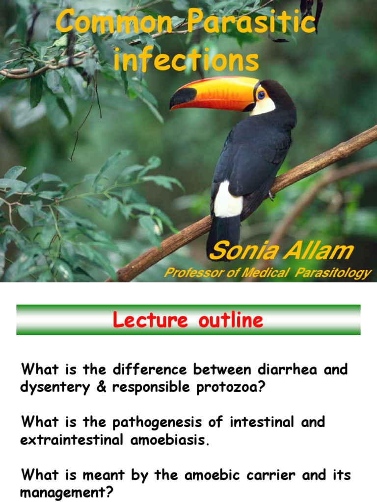 Parasite Infections | PDF | Immunology | Medicine