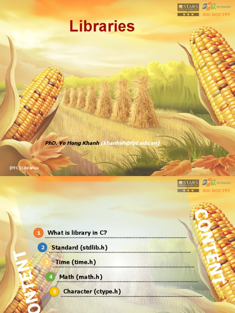 C Programming Libraries Overview | PDF | Input/Output | Library (Computing)